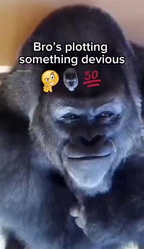 The Definitve Scale For Archie Sonic And Cosmology R Powerscaling