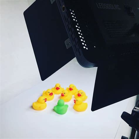 Moduck Becomes A Model