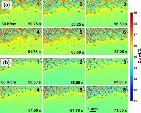 Time Evolution Of Solute Concentration In Liquid Phase And Dendritic Download Scientific