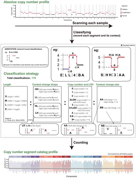 Cna Classification Strategy For Signature Analysis For Each Cna