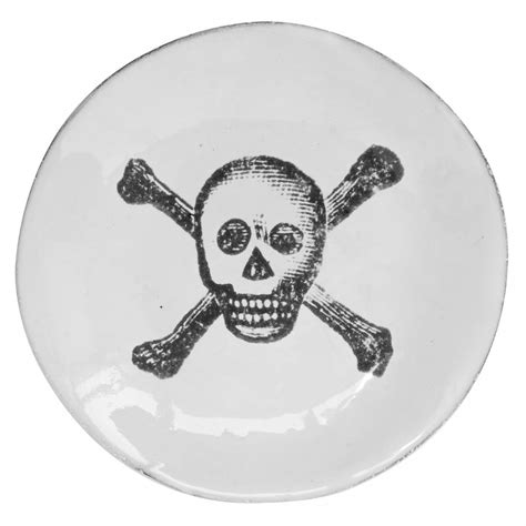 Small Skull And Bones Plate