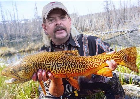 Geraldo Tiger King Trout 🐯👑 Absolutely Beautiful👏