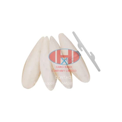 Dried Cuttlefish Bone Vietnam Cuttlefish Bone Clean Cuttlefish Bone