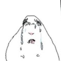 White Hamster Meme