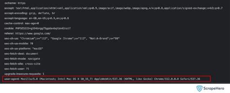 Important Headers For Web Scraping