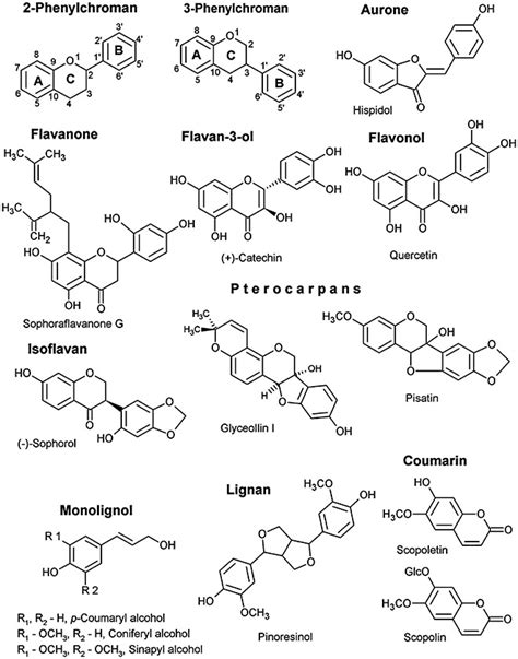 Genome‐wide Analysis Of Phenylpropanoid Defence Pathways Pmc