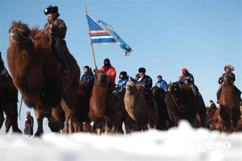 ФОТО Түмэн тэмээний баяр 25 дахь жилдээ