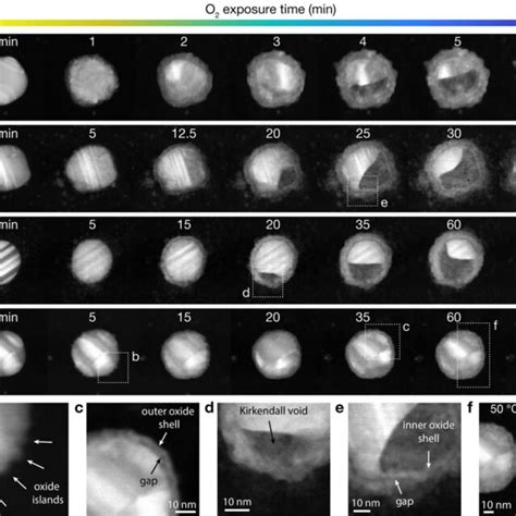 Adf Stem Of Single Cu Particle Oxidation At Different Temperatures A Download Scientific