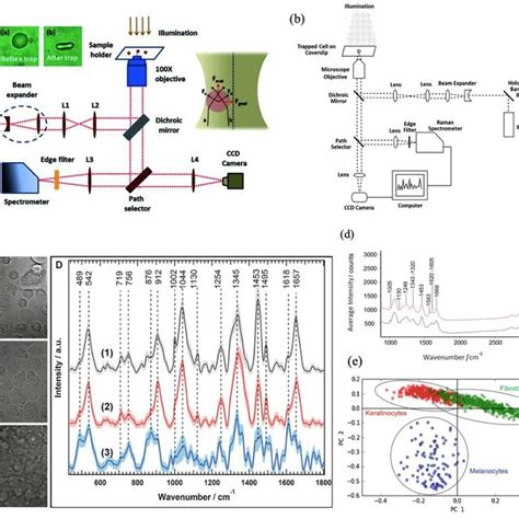 Raman Spectroscopy Techniques Used For Skin Diagnosis Download