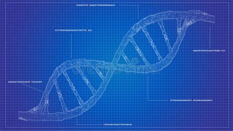 Dna Sequencing Blueprint Rna Sequencing Dna Computational Models Stock Illustration