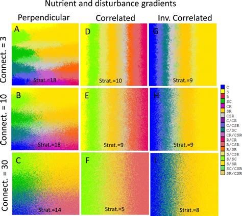 Simulated Effects Of Connectivity And Gradient Configuration Of