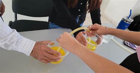 FÍsica B Reseña De Experimento Vasos Comunicantes