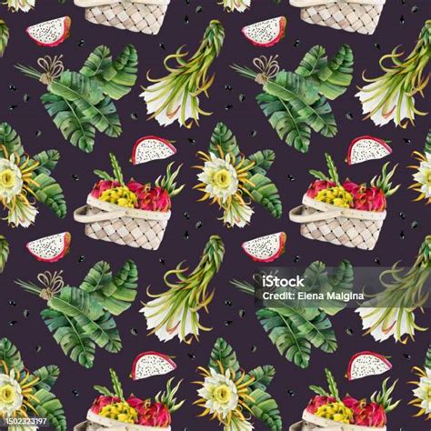 열대 야자수 잎과 피타야 드래곤 과일은 여름 포장 메뉴 직물 이국적인 디자인을 위해 짙은 보라색 배경에 바구니 꽃 조각 수채화