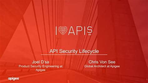 Api Security Lifecycle Pptx Cloud Computing Internet