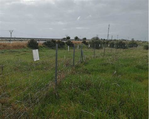 Biodiversity Infrastructure Handbook 5 2 34 Fencing Marking Birds