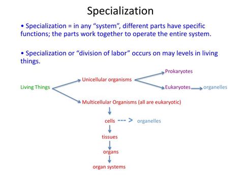 Ppt Specialization Powerpoint Presentation Free Download Id2389791