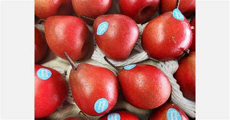 New Zealand Red Pear Piqaboo® Gently Combines Chinese Japanese And