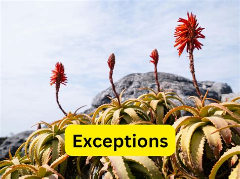 Understanding Exception Hierarchies In C By Ivo Manolov Level Up