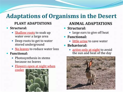Adaptations In Different Biomes Notes Pptx
