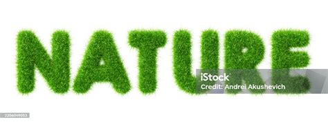 3d 단어 녹색 잔디 글자 자연 벽지 허브 대문자 글꼴을 렌더링합니다 식물 질감을 가진 신선한 여름 또는 봄 텍스트 에코타입 효과 플로럴 오가닉 요소 환경 및 생태 3차원