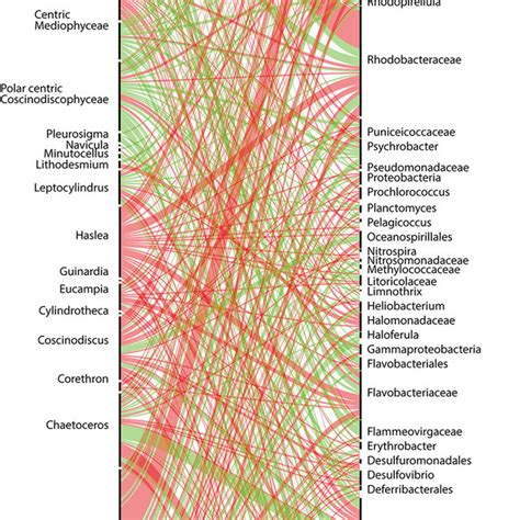 Diatom Bacterium Interactions Diatom Taxonomic Annotations Are Listed Download Scientific
