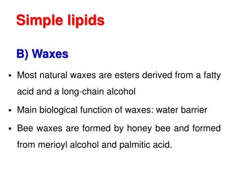 Ppt Lipids Powerpoint Presentation Id2284477