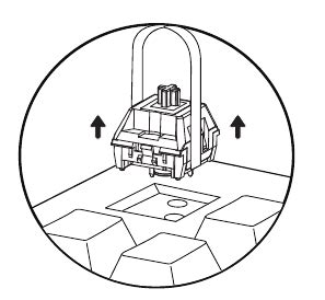 Tecware PHANTOM RGB Backlit Mechanical Keyboard Manual ManualsLib