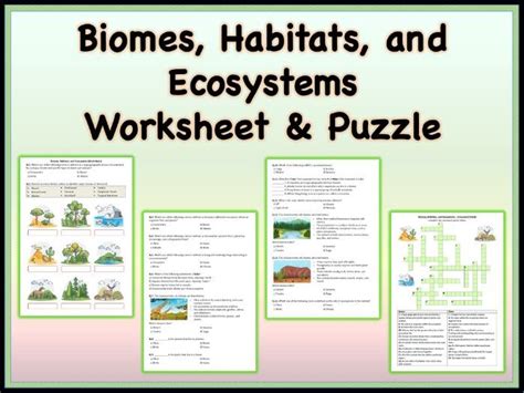 Biome Worksheet Doc