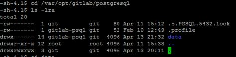 postgreql server is down and gitlab url is not accesible how to use gitlab gitlab forum