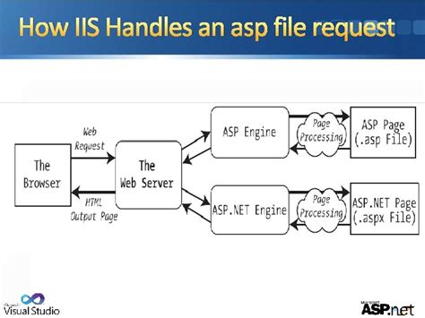 Web Development Using ASP Net Web Development Timeline