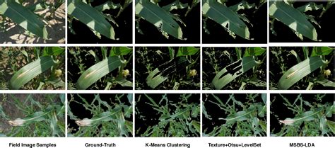 Figure 1 From Automatic Quantification Of Plant Disease From Field Image Data Using Deep