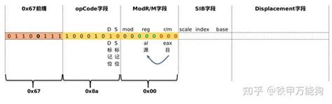 番外篇5x8664指令编码 仅基址寄存器的寻址模式 知乎
