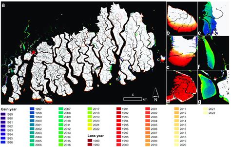 A Spatial Distribution Of Lossgain Timing In Mangrove Cover From
