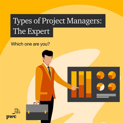 Pmo Projectmanagement Projectmanager Typesofpmo Managementstyles