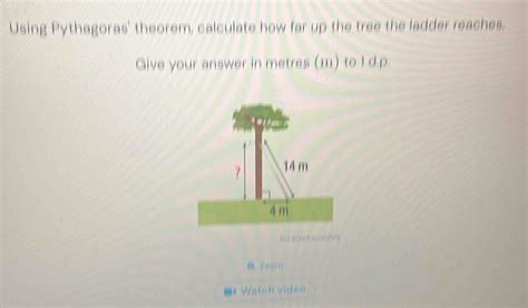 Solved Using Pythagoras Theorem Calculate How Far Up The Tree The