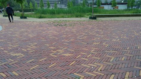 Undesired Path Desirepath