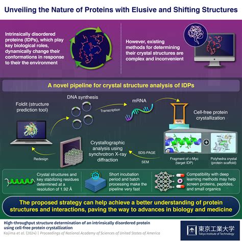 New Method Enables Fast Crystal Structure Analysis Of Intrinsically