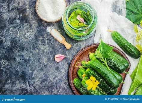 Preparation For Pickling Cucumbers Preservation Stock Image Image Of Rustic Garlic 116790721