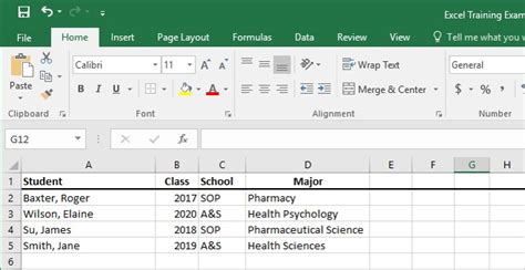 microsoft excel examples