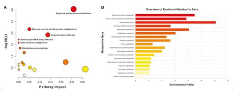 Figure Summary Of Pathway Analysis With Metaboanalyst A Pathway Download Scientific Diagram