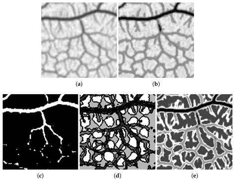 J Imaging Free Full Text A Pde Free Variational Method For Multi Phase Image Segmentation
