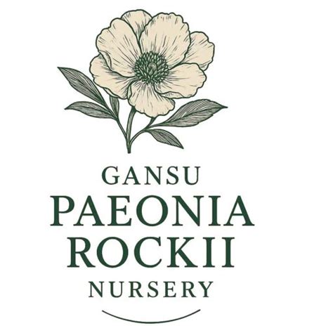 Mo Run Jue Lun Tree Peony Guose Tree Peony Nursery