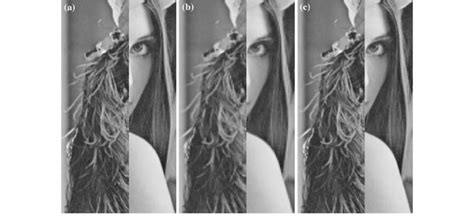 Segments Of The Lena Image Extracted From The Constructed Images