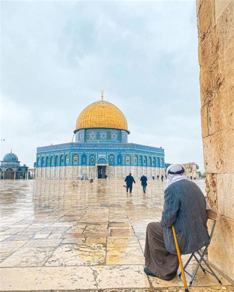 Junaid Ahmed Shah On Linkedin Palestine