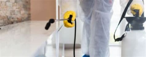 Best Pest Control Melbourne Pest Control Services In Melbourne