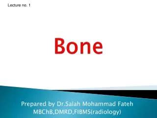 PPT Bone PowerPoint Presentation Free Download ID 12862370