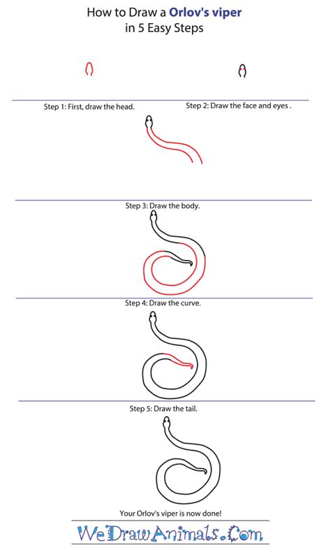 How To Draw An Orlovs Viper