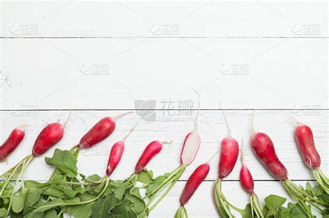 花园萝卜新鲜有机收获
