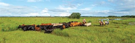 Florida 2070 Future Development Scenarios 2020 2023 Florida