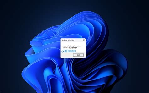 Windows 11 激活状态怎么看？2 种方法快速确认永久激活